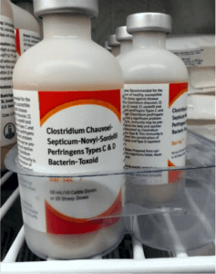 BAR VAC 7 BLACKLEG VACCINATION – Griffin Feed Company